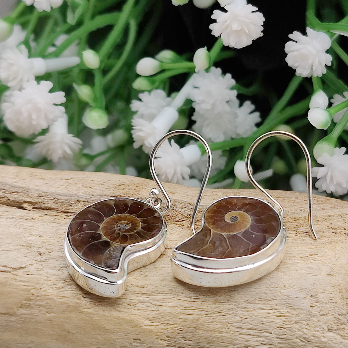 Small Ammonite Earrings | 20mm Madagascan Fossils | Sterling Silver ...