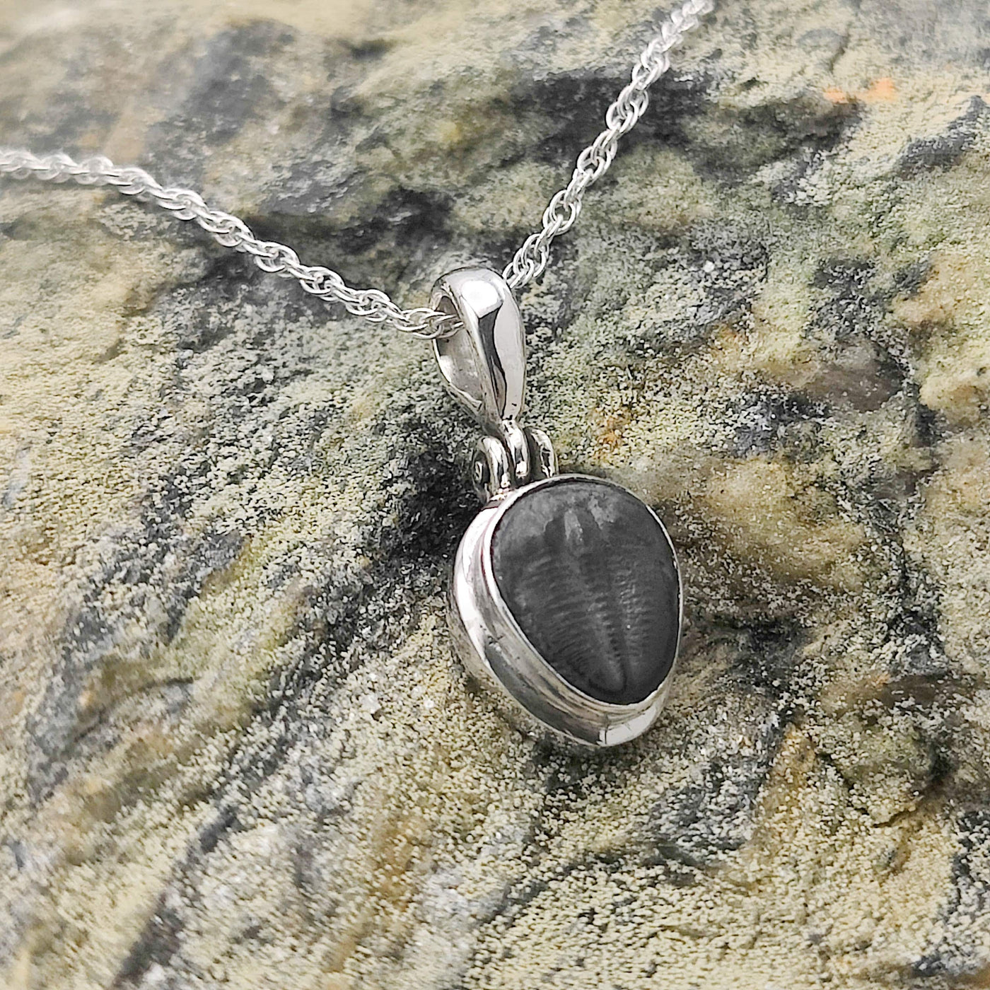 Trilobite Necklace | Small 15mm Fossil Pendant | Double Bezel Surround ...