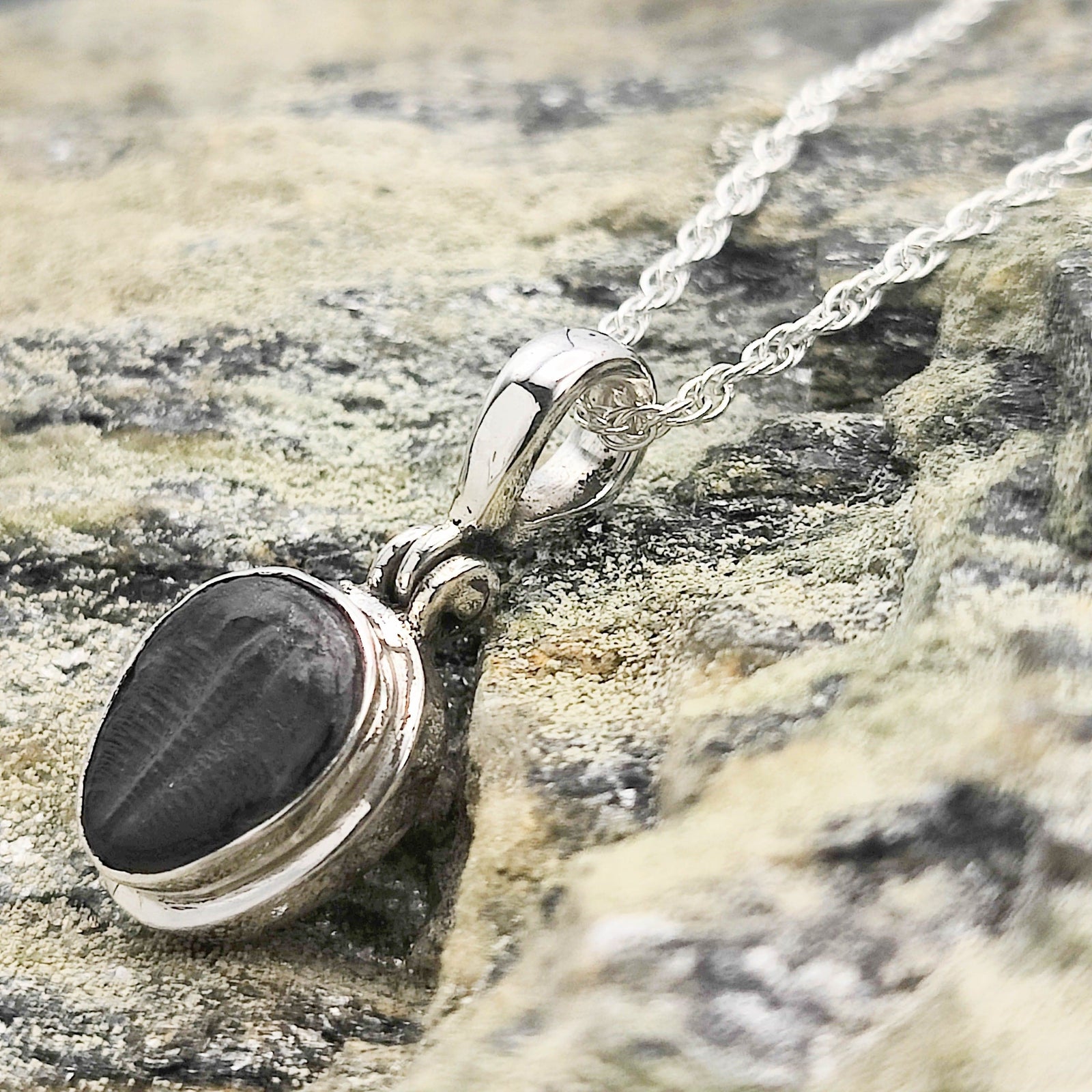 Trilobite Necklace | Small 15mm Fossil Pendant | Double Bezel Surround ...
